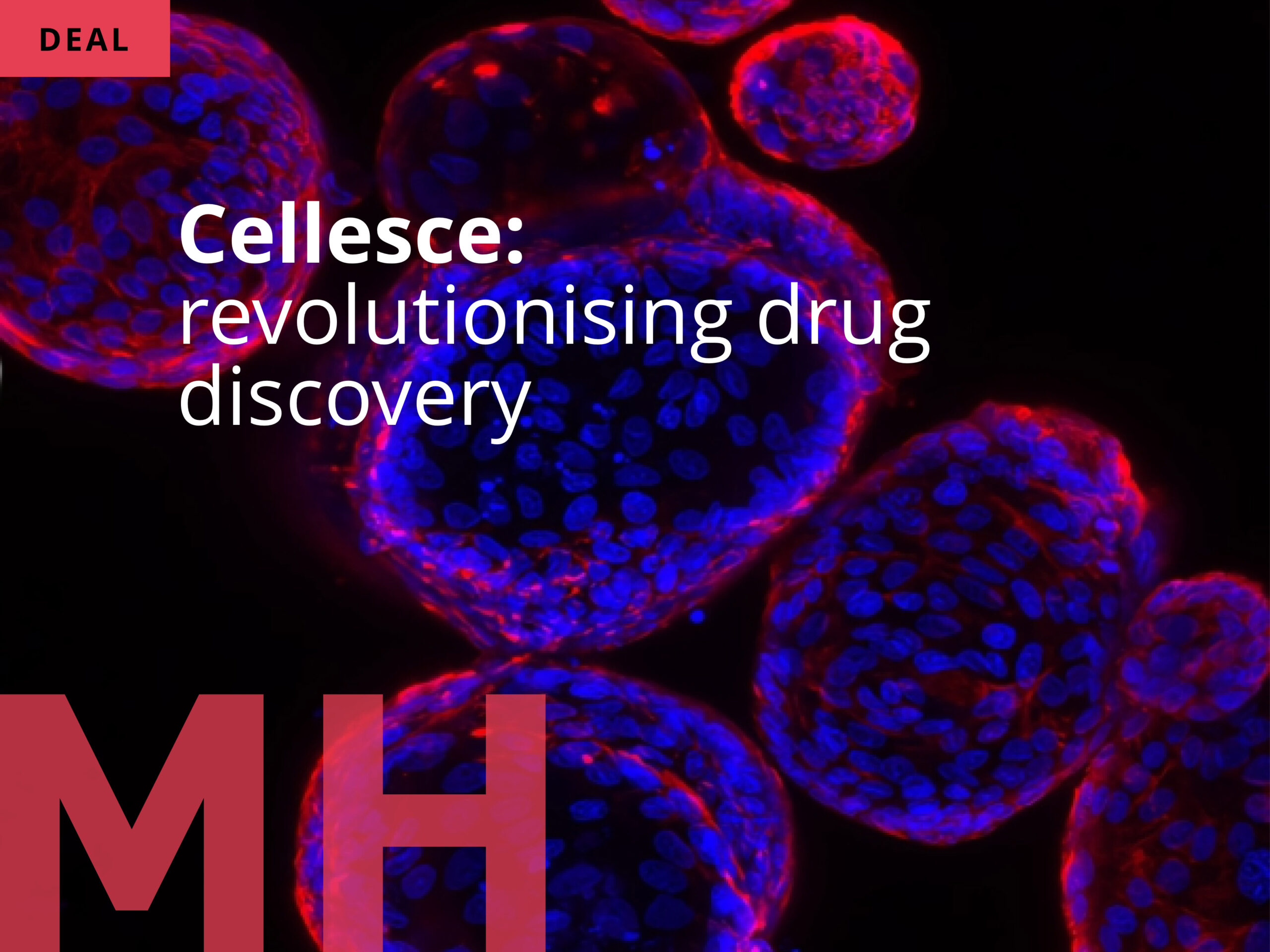 | Cellesce sale to Mollecular Devices: revolutionising drug discovery ...