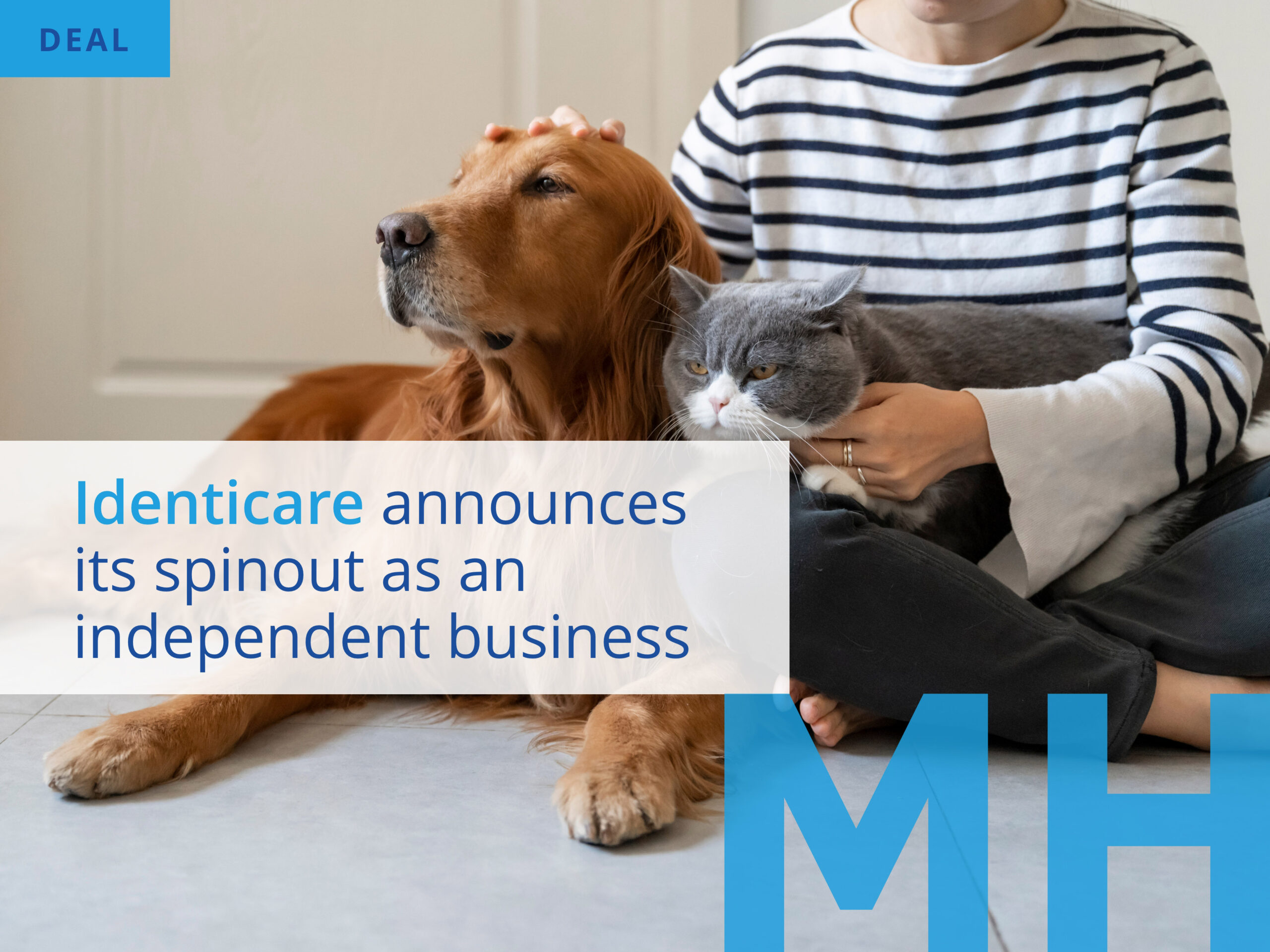 News | Identicare announces its spinout as an independent business ...