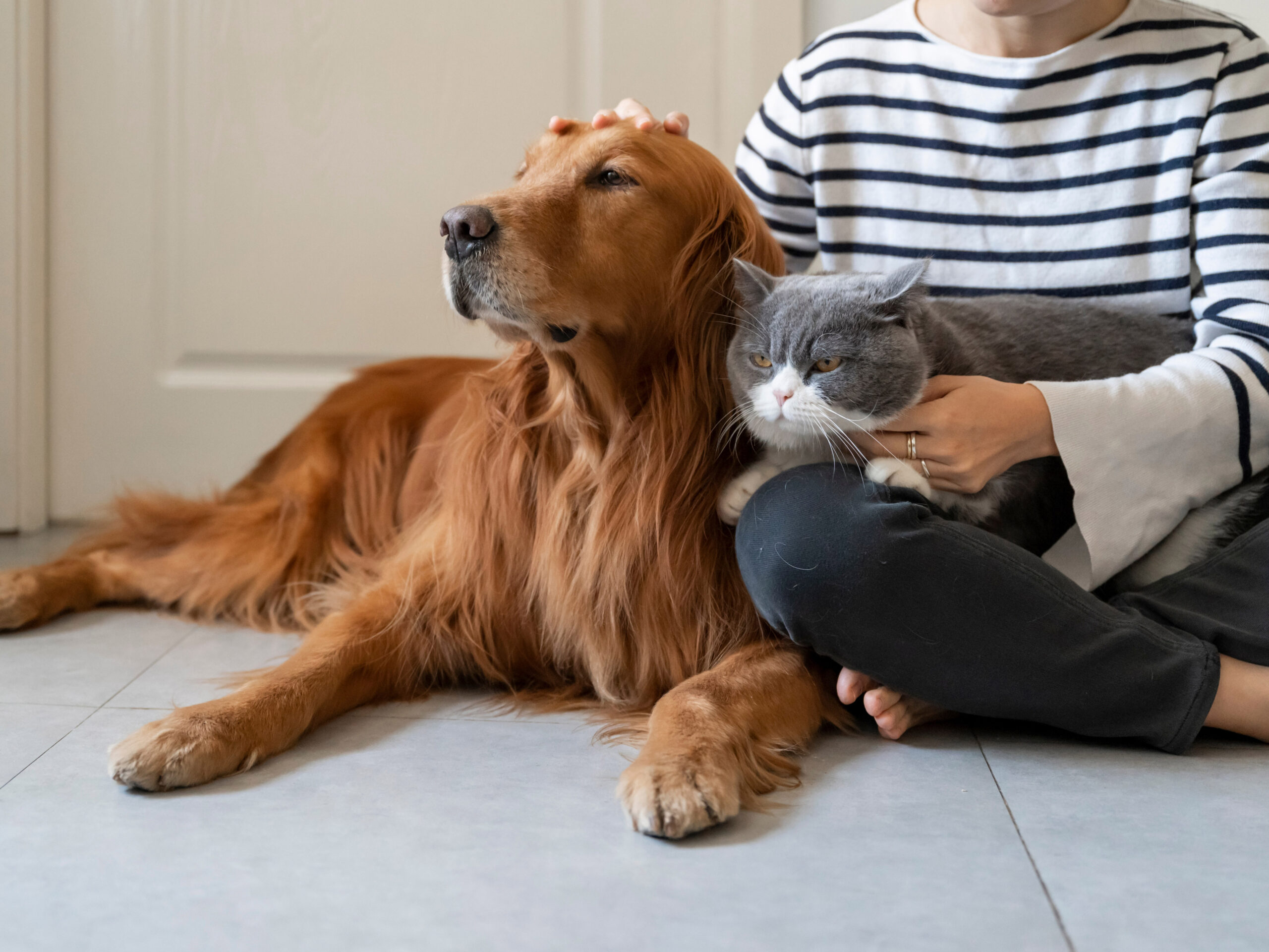 News | Identicare announces its spinout as an independent business ...