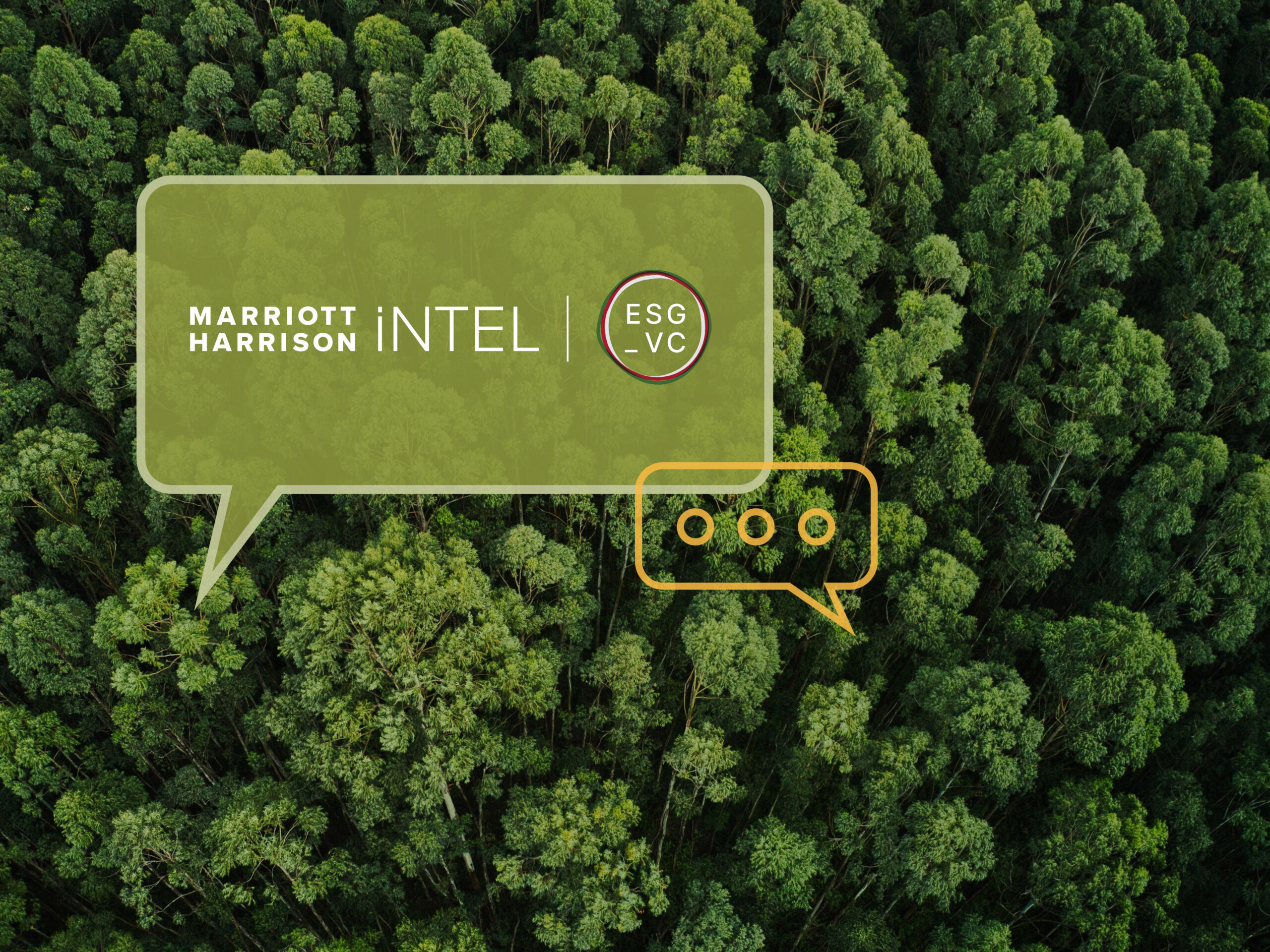 Event | Crafting and communicating your ESG strategy | Marriott Harrison